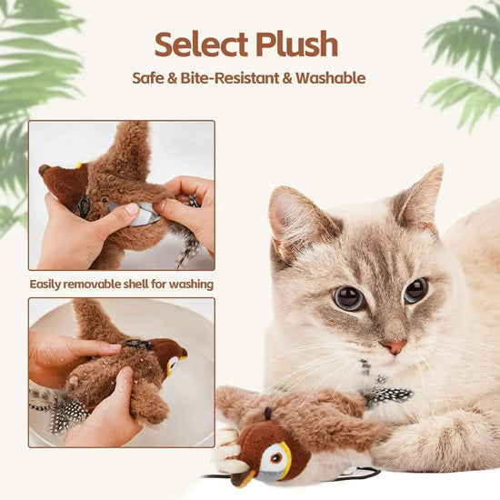 Interactive Cat Chase Toys – Eagles Cart